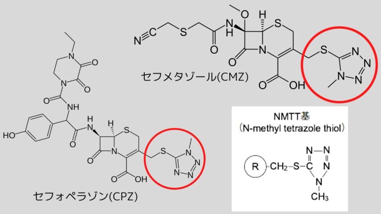ワーファリンと抗菌薬について今一度考える | クマブロ